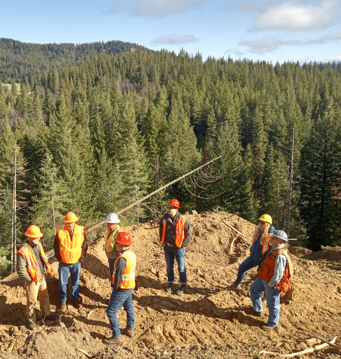 Forest Certification | F&W Forestry